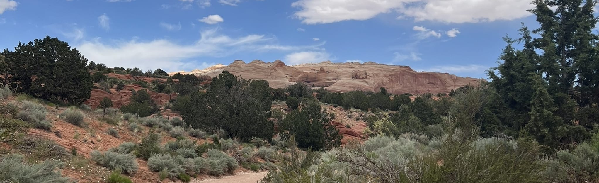 Wire Pass Trail, Utah - 2,668 Reviews, Map | AllTrails