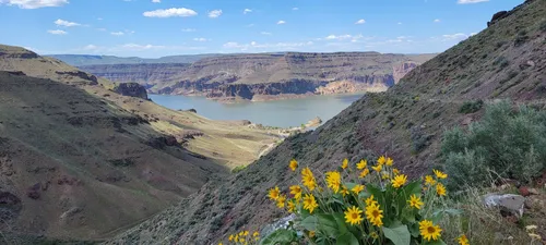 Best Hikes and Trails in Lake Owyhee State Park | AllTrails