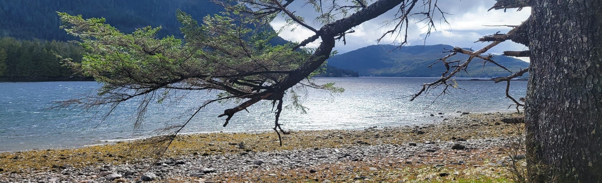 Cemetery Island Trail, Alaska - 28 Reviews, Map | AllTrails