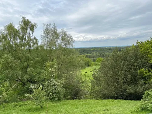 10 Best Hikes and Trails in Delamere Forest | AllTrails