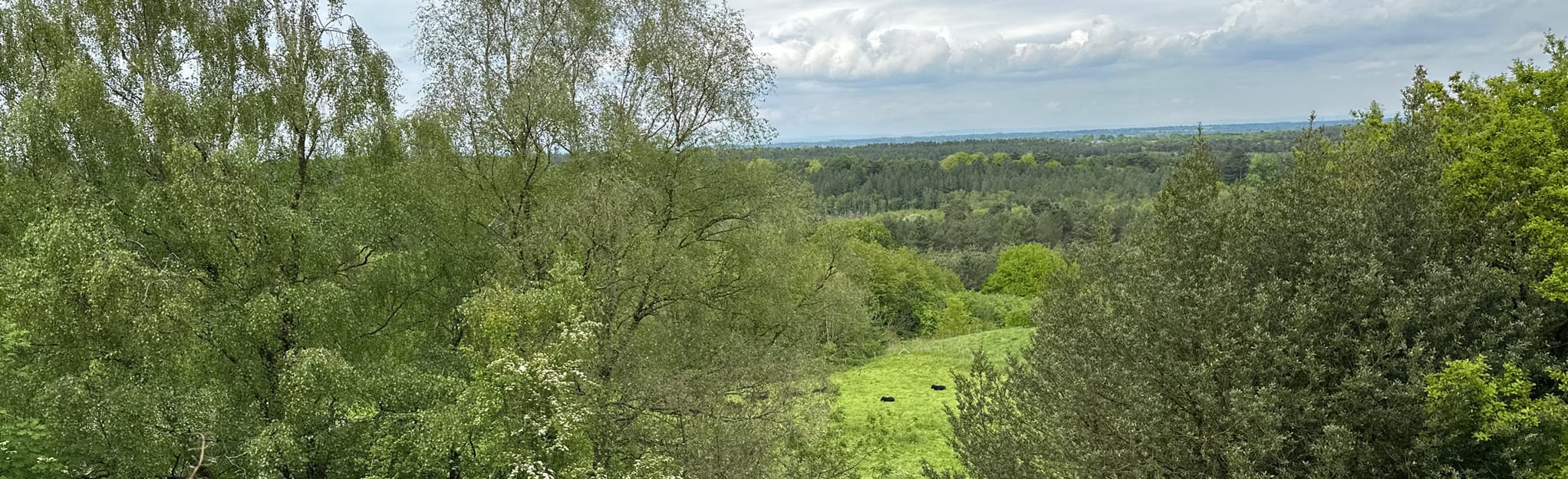Old Pale Trail, Cheshire, England - 58 Reviews, Map | AllTrails