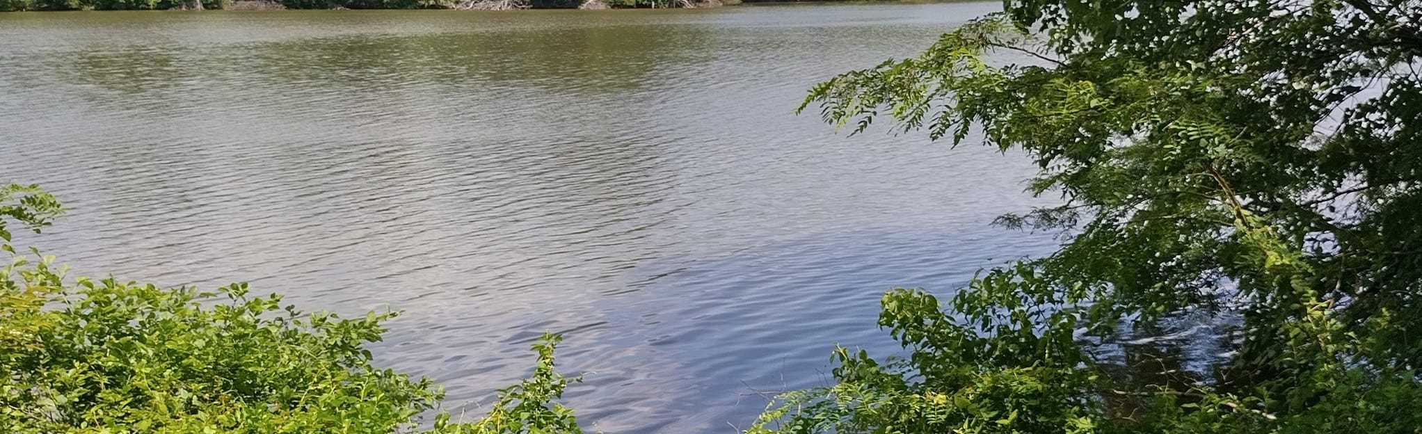 Lake Brandt Loop, North Carolina - 257 Reviews, Map | AllTrails