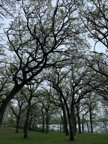 Best Hikes and Trails in Lower Gar State Recreation Area | AllTrails