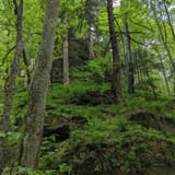 Big Spring Hollow Falls Trail, Ohio - 286 Reviews, Map | AllTrails