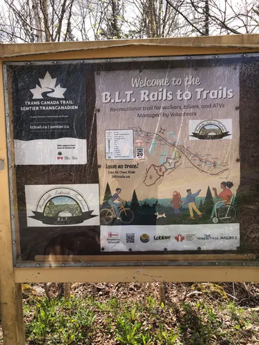 Best Hikes and Trails in Beechville Lakeside Timberlea Trail Park ...