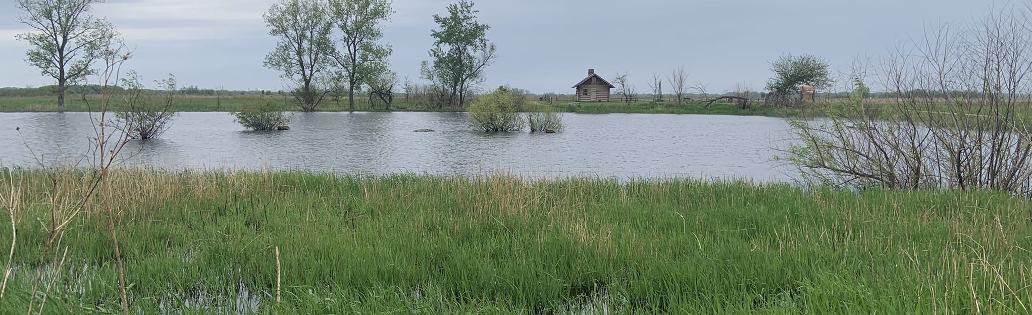 Tall Grass Nature Trail, Marsh Loop, and Rectangle Trail, Illinois - 48 ...