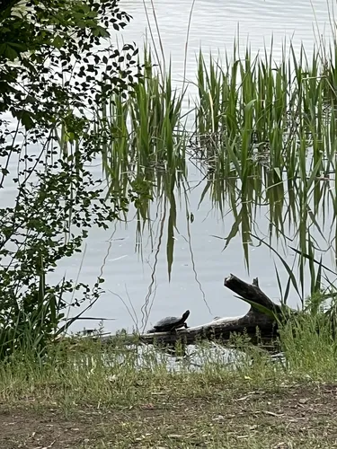 Best Hikes and Trails in Steed Park | AllTrails