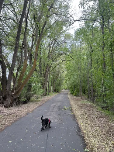 Best Hikes and Trails in Steed Park | AllTrails