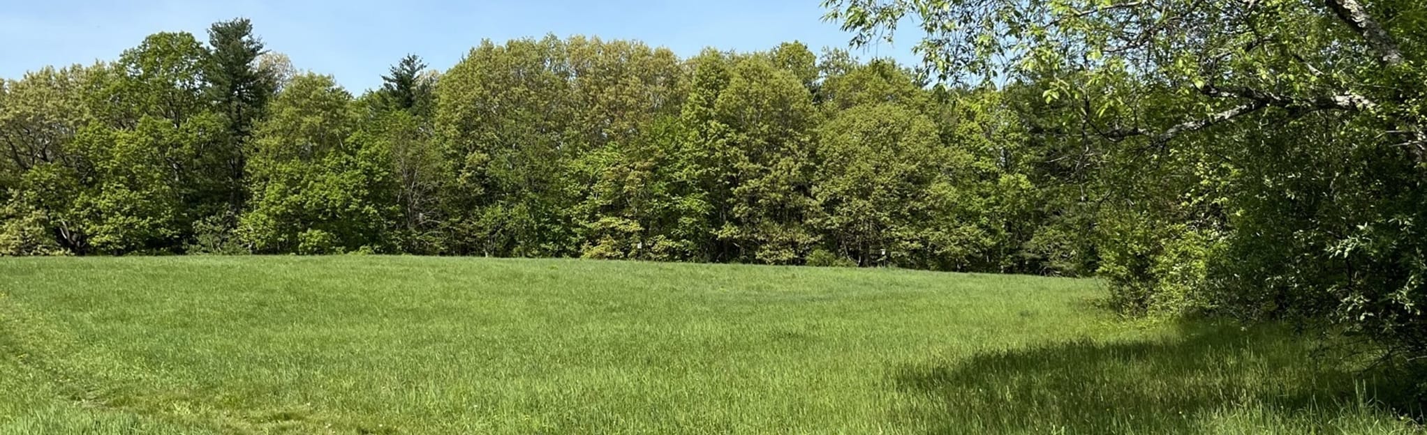 Long Lake Main Loop Trail: 82 Reviews, Map - Massachusetts | AllTrails