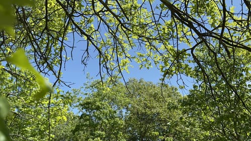 Best Hikes and Trails in Blauvelt State Park | AllTrails