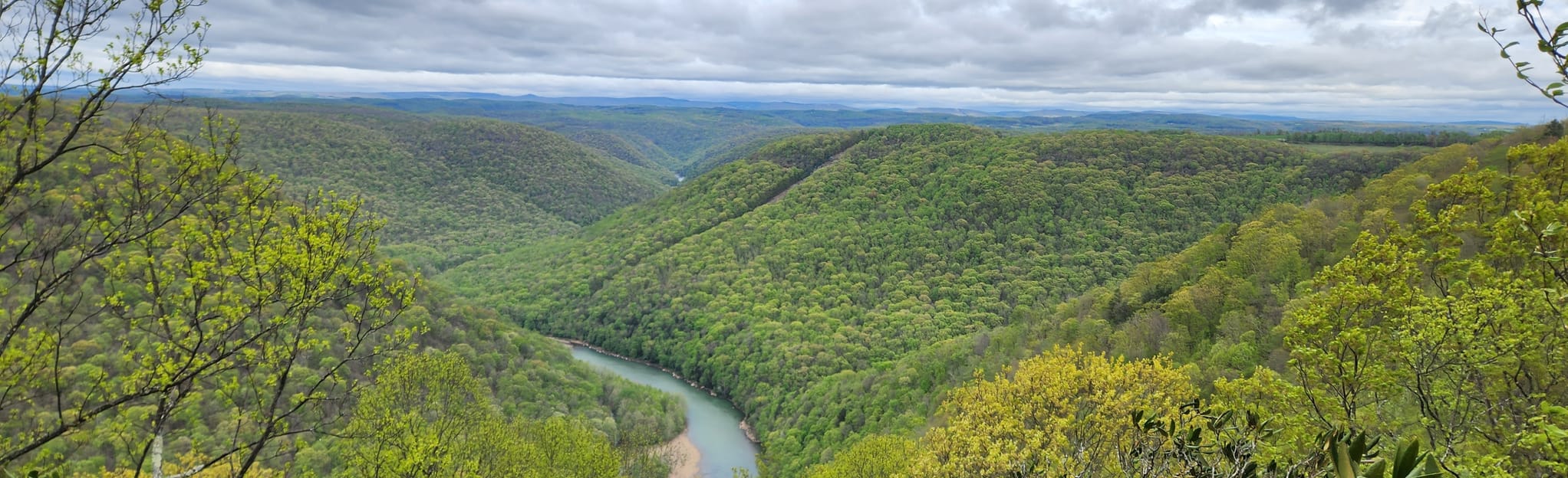 Snake Hill Overlooks, West Virginia - 239 Reviews, Map | AllTrails