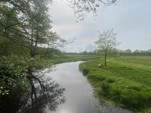 10 Best No Dogs Trails in Drentsche Aa National Park | AllTrails