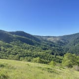 Weldon Wagon Road Trail, Washington - 507 Reviews, Map | AllTrails