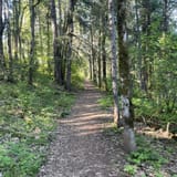 Weldon Wagon Road Trail, Washington - 507 Reviews, Map | AllTrails