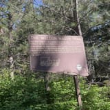 Weldon Wagon Road Trail, Washington - 507 Reviews, Map | AllTrails