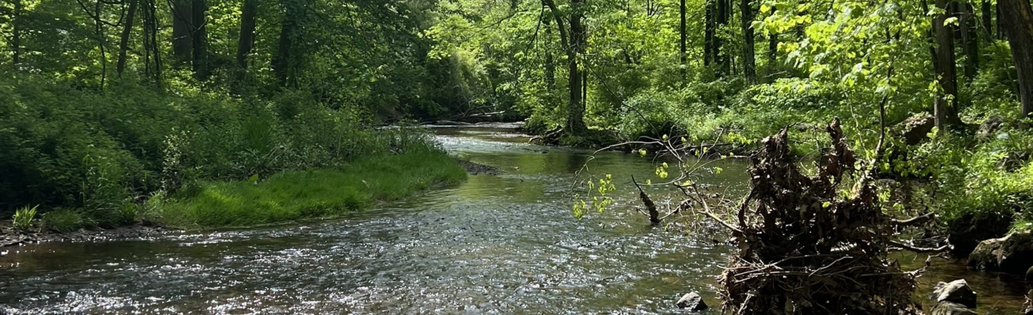 Hansen Park: Blue and Red Trail Loop, Connecticut - 128 Reviews, Map ...
