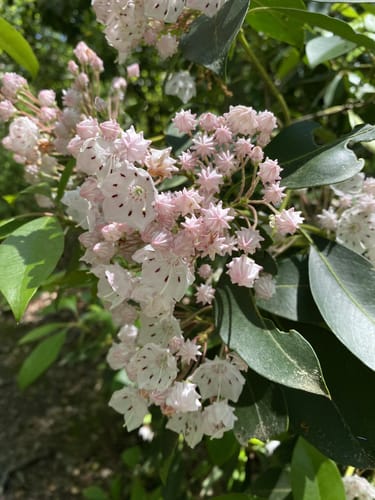 Best Hikes and Trails in Douglas Point Special Recreation Management ...