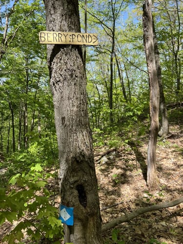 Best Hikes and Trails in Taconic Ridge State Forest | AllTrails