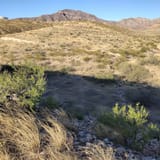 Lazy Cow Trail, Texas - 695 Reviews, Map | AllTrails