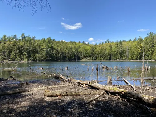 Best Hikes and Trails in Surry Mountain Preserve | AllTrails