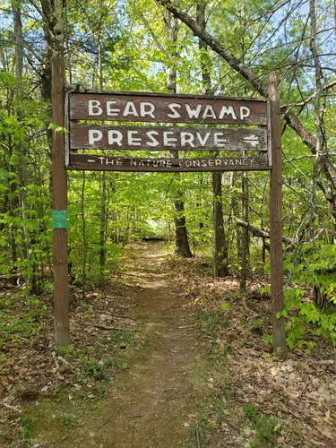 Best Hikes and Trails in Bear Swamp Preserve | AllTrails