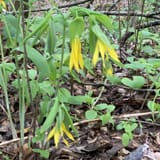 Arcola Bluffs Trail, Minnesota - 192 Reviews, Map | AllTrails