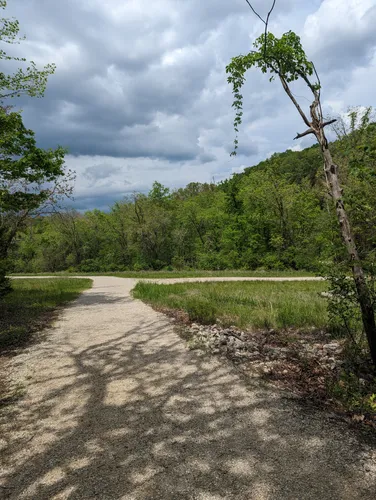 Best Trail Running Trails in Fort Leonard Wood | AllTrails