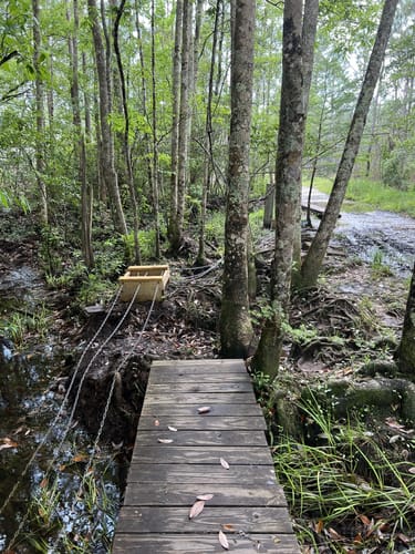 Best Hikes and Trails in Foley | AllTrails