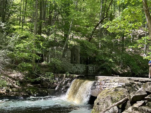 Best Hikes and Trails in Speedwell Park | AllTrails