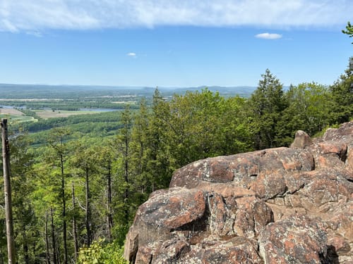 2023 Best Wild Flowers Trails in Skinner State Park | AllTrails