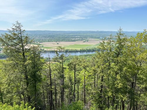 2023 Best Wild Flowers Trails in Skinner State Park | AllTrails