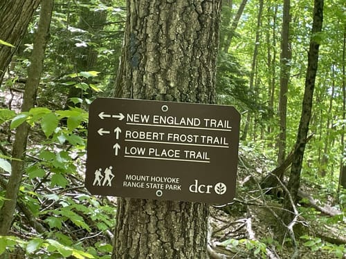 2023 Best Wild Flowers Trails in Skinner State Park | AllTrails