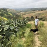 Lopez Canyon Trail To Goat Trail Loop, California - 307 Reviews, Map ...