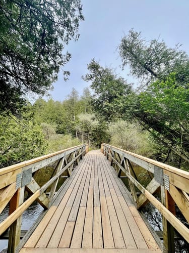 Best Hikes and Trails in Shade's Mills Conservation Area | AllTrails