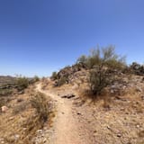 Calderwood Butte Trail, Arizona - 1,676 Reviews, Map | AllTrails