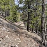 Silver Creek Trail, Colorado - 92 Reviews, Map | AllTrails