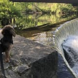 Yantic Falls, Connecticut - 181 Reviews, Map | AllTrails