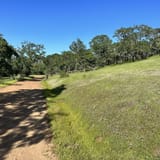 Canyon Trail to Spring Creek Trail Loop, California - 1,417 Reviews ...