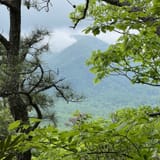 Sutton Ridge Overlook Trail, Tennessee - 495 Reviews, Map | AllTrails