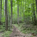 Sutton Ridge Overlook Trail, Tennessee - 495 Reviews, Map | AllTrails