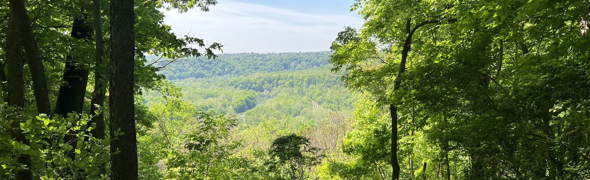 Braddock’s Trail and Vista Loop, Pennsylvania - 83 Reviews, Map | AllTrails