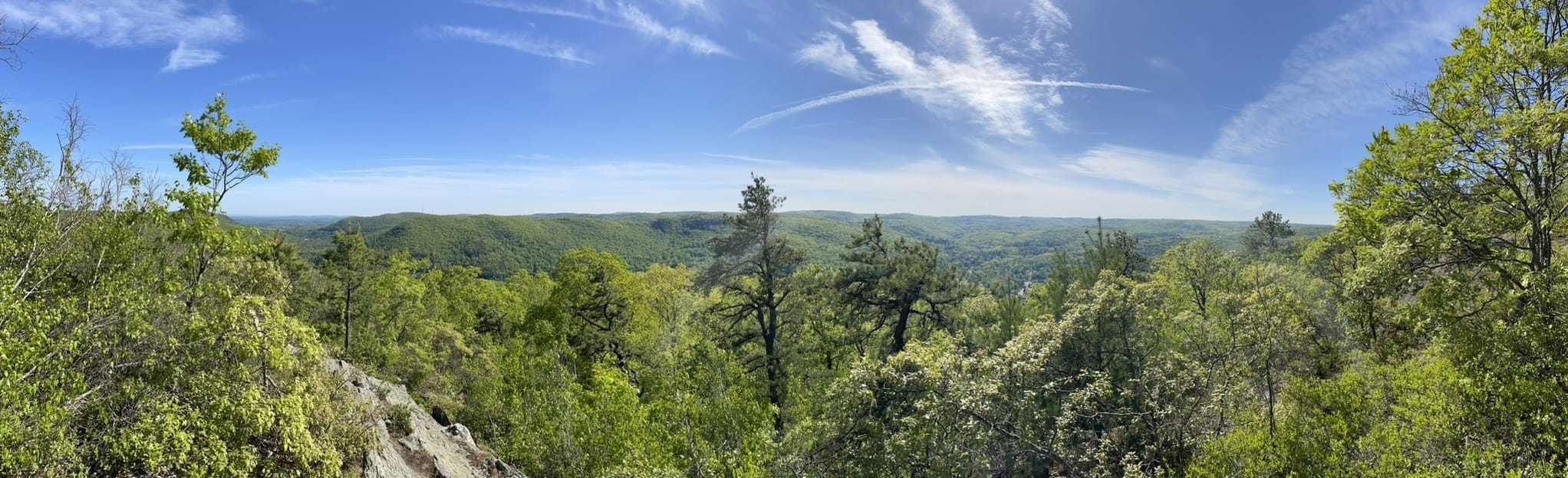 Shatterack Mountain Loop, Massachusetts - 61 Reviews, Map | AllTrails