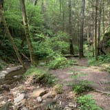 Koomer Ridge Trail, Kentucky - 563 Reviews, Map | AllTrails