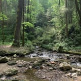 Koomer Ridge Trail, Kentucky - 563 Reviews, Map | AllTrails