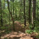Koomer Ridge Trail, Kentucky - 563 Reviews, Map | AllTrails