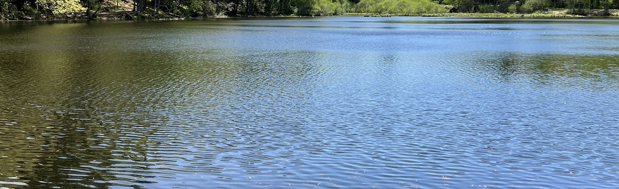 Puffers Pond to Atkins Reservoir via Robert Frost Trail: 95 Reviews ...