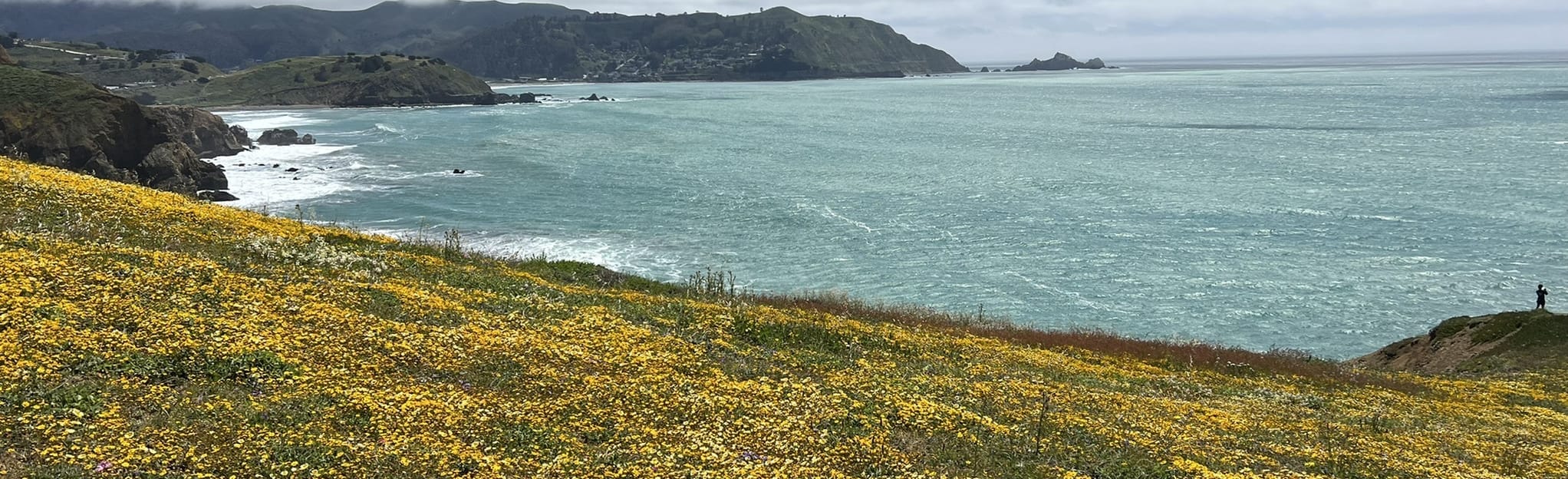 Mori Point Loop Trail, California - 82 Reviews, Map | AllTrails
