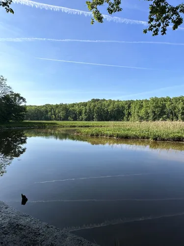 Best Hikes and Trails in Friendship Farm Park | AllTrails