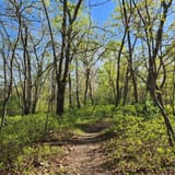 Pawcatuck River Loop, Rhode Island - 167 Reviews, Map | AllTrails