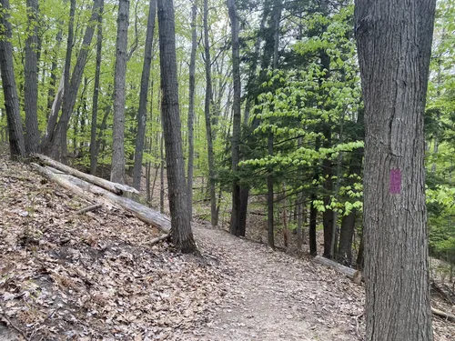 Best Hikes and Trails in Torch River Ridge | AllTrails